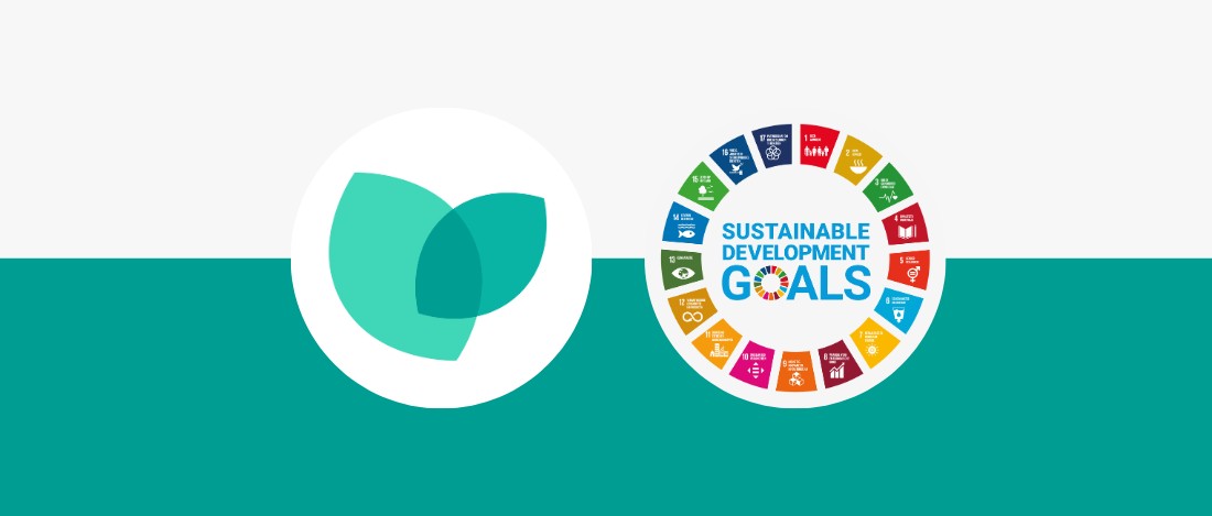 How the CO₂ Performance Ladder contributes to the UN SDGs